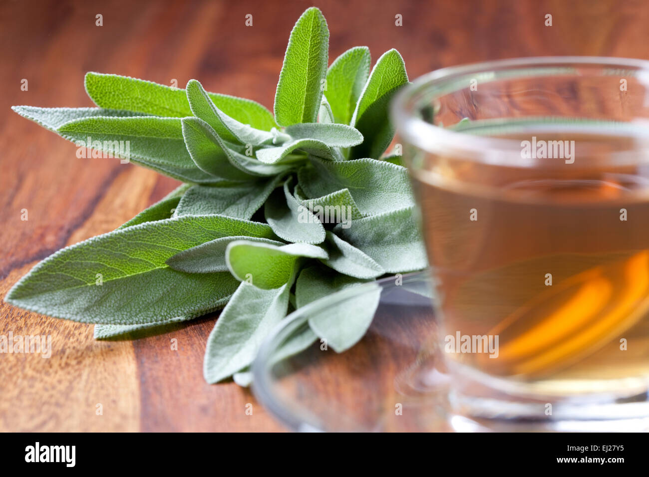 teacup full of sage tea, silver spoon inside, bunch of sage leaf beside ...