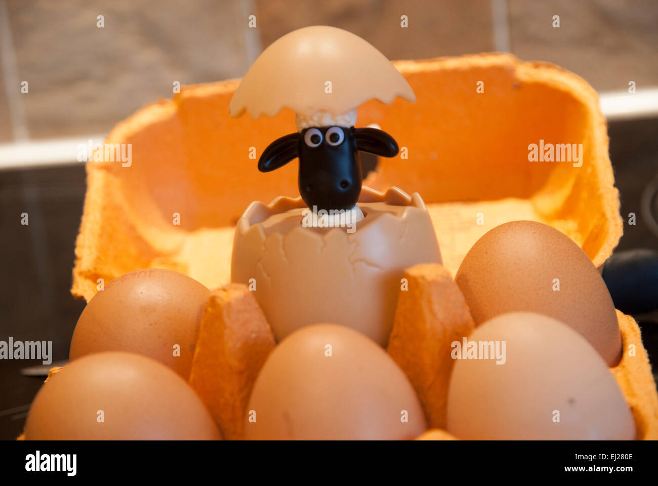 Shaun the Sheep hiding in an egg in a box of eggs Stock Photo - Alamy