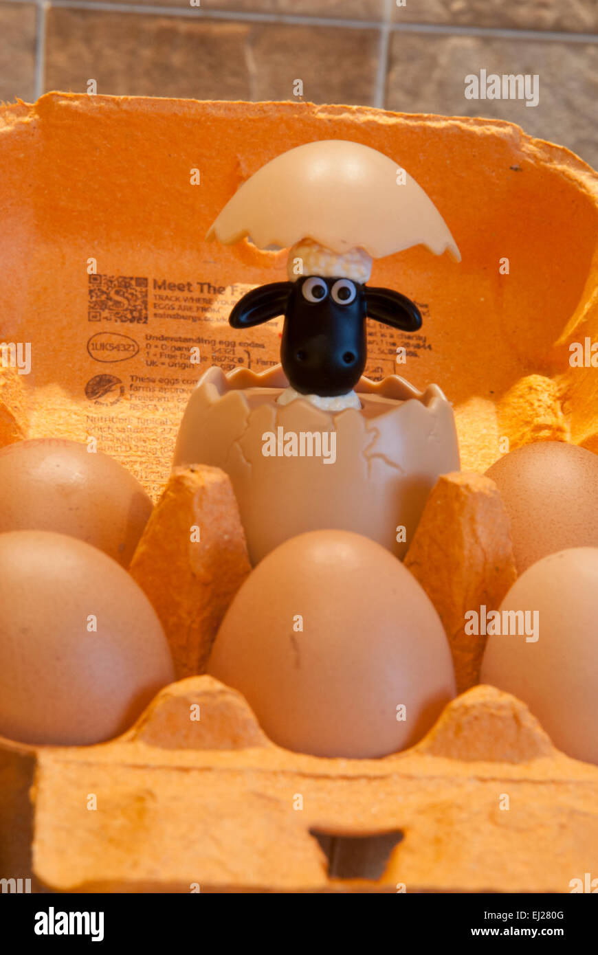 Shaun the Sheep hiding in an egg in a box of eggs Stock Photo - Alamy