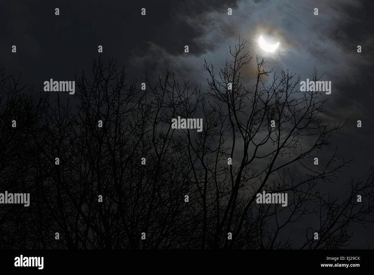 Solar tree milan hi-res stock photography and images - Alamy