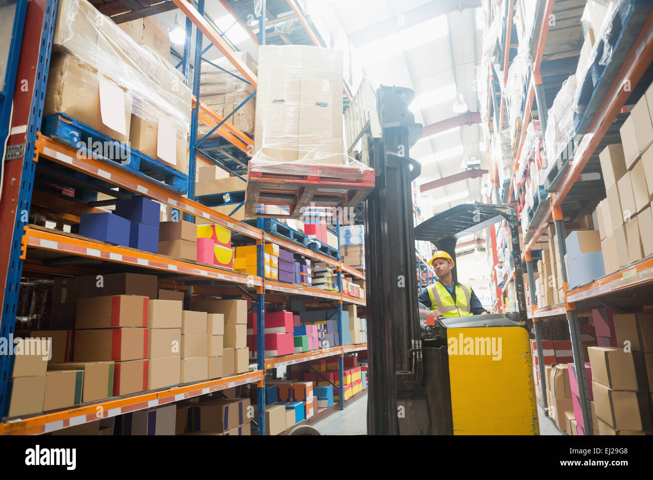 Focused driver operating forklift machine Stock Photo - Alamy