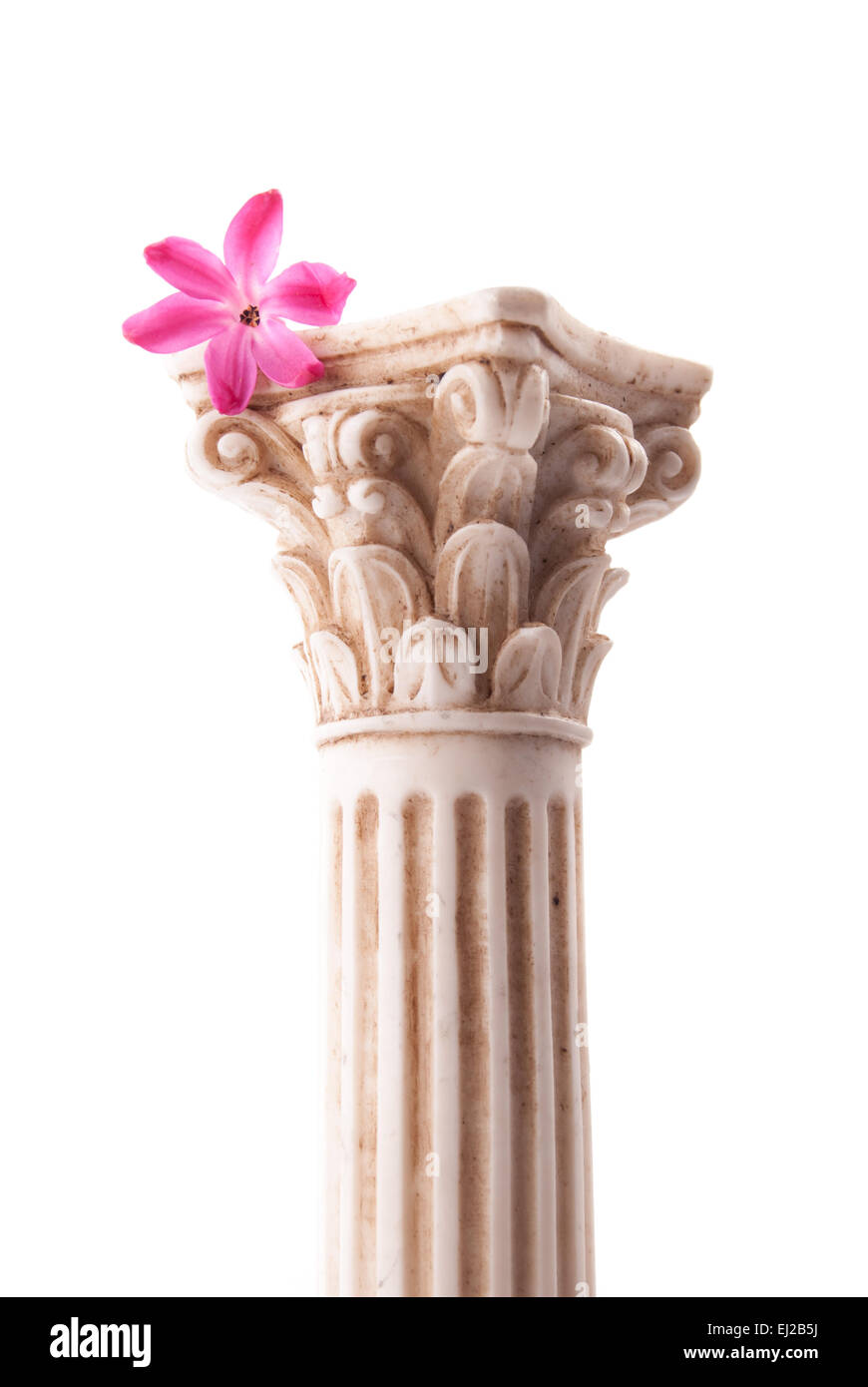 Classical column with flower Stock Photo - Alamy