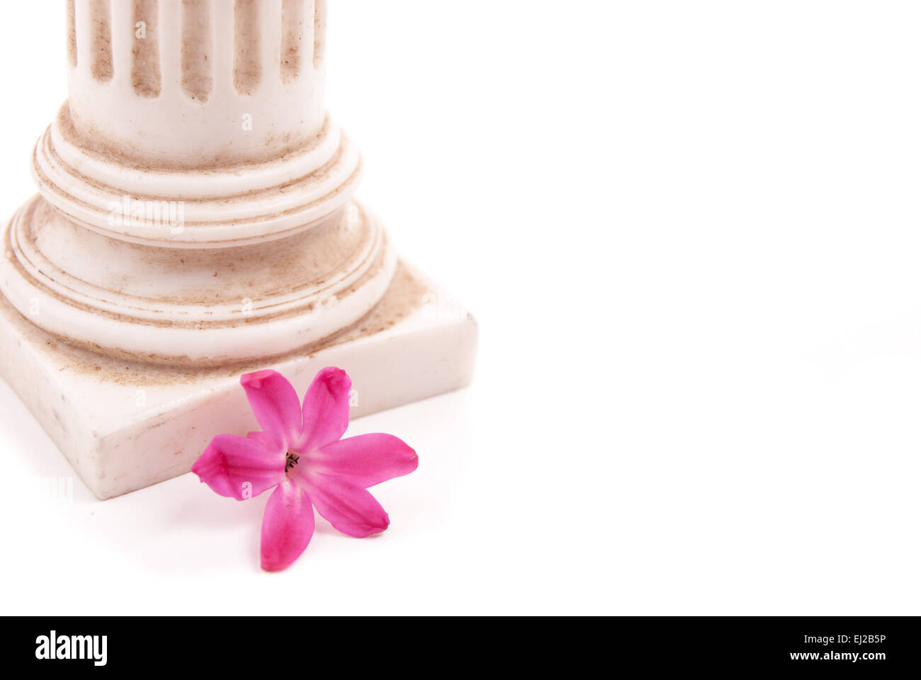 Classical column with flower Stock Photo - Alamy