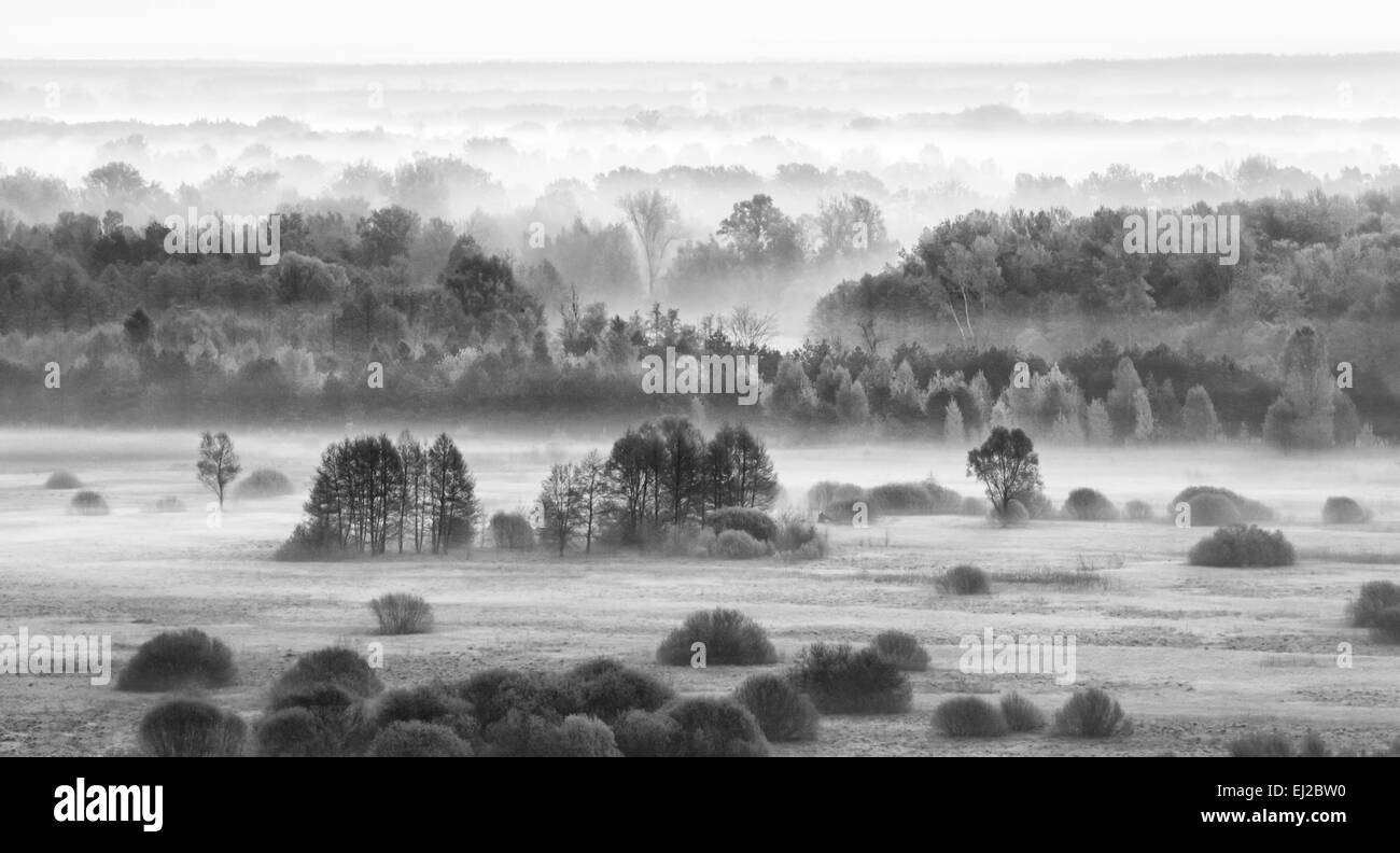 Mountain morning landscape fog Black and White Stock Photos & Images ...