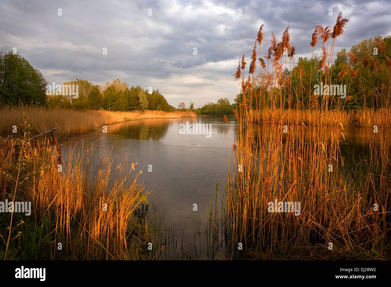 River at sunset Stock Photo - Alamy