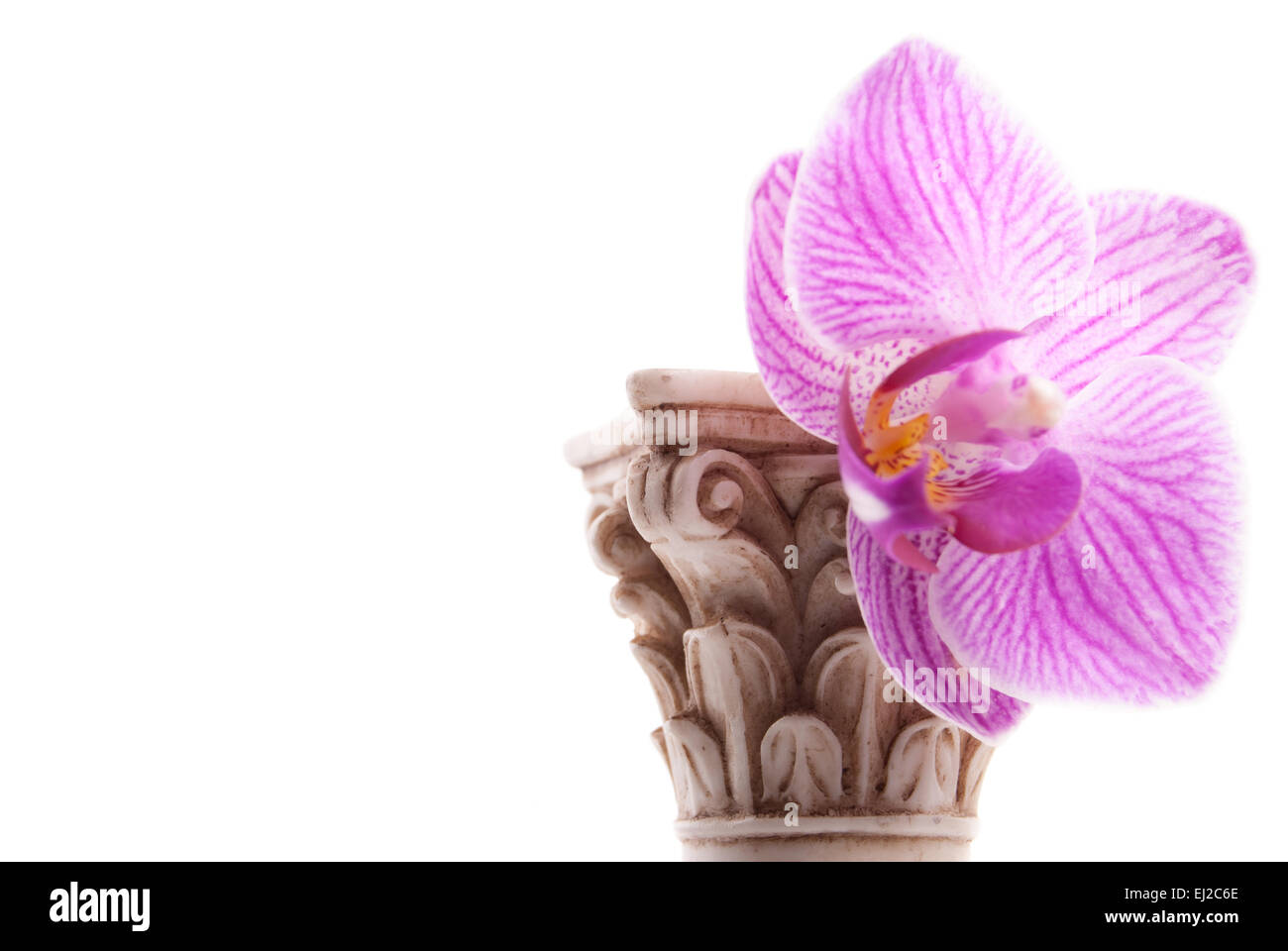 Pink column Cut Out Stock Images & Pictures - Alamy