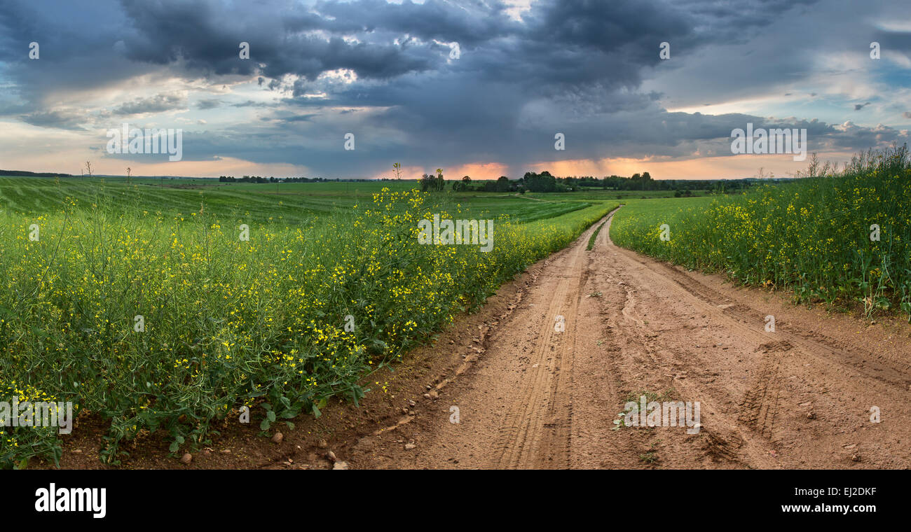 May rain hi-res stock photography and images - Alamy