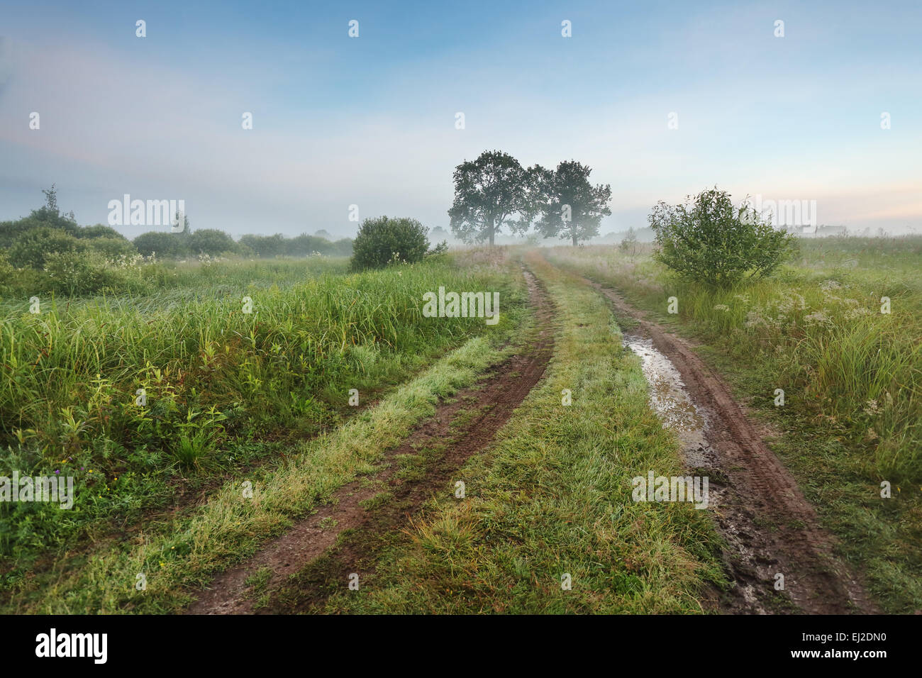 June mist hi-res stock photography and images - Alamy