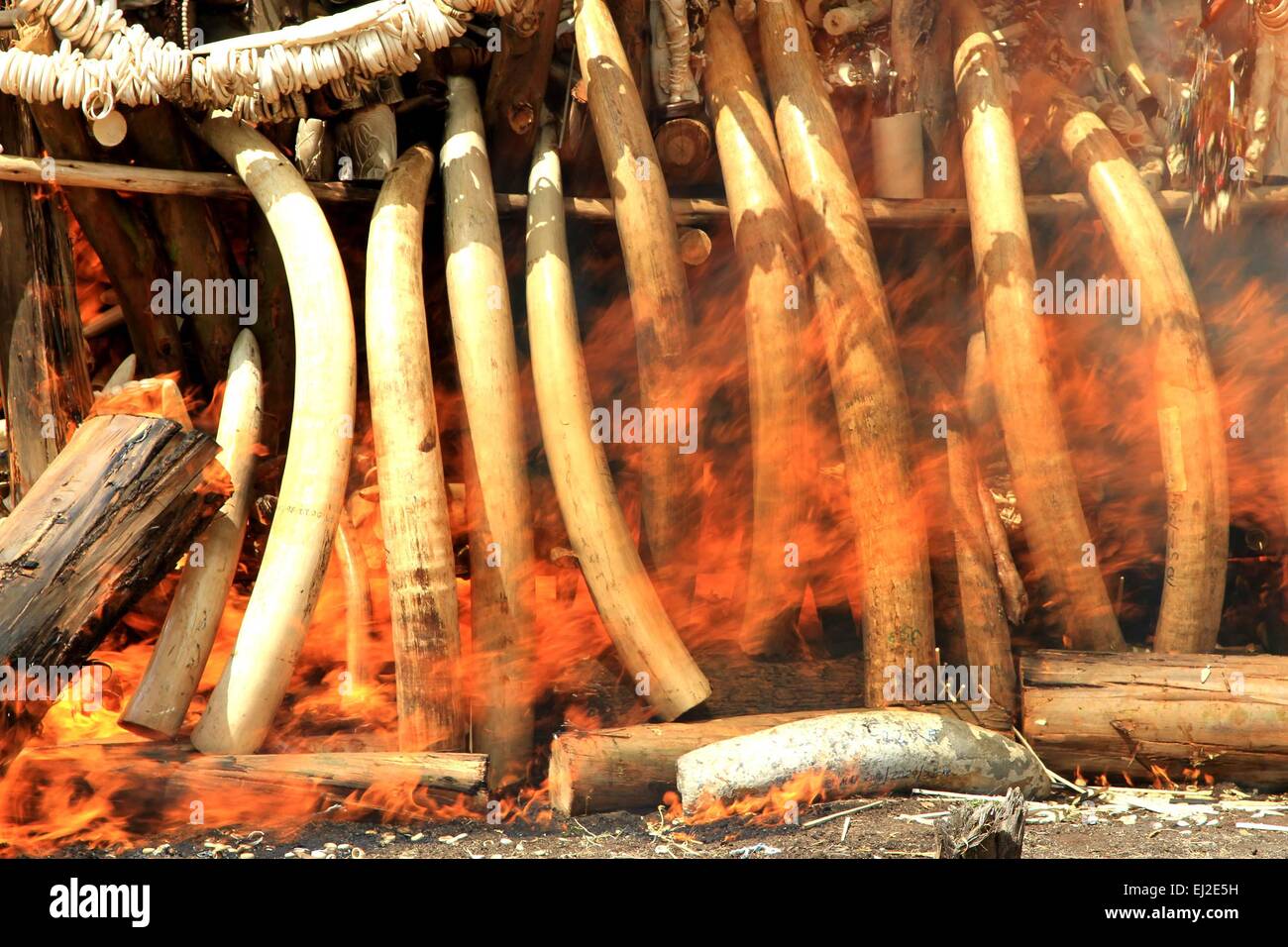 Addis Ababa. 20th Mar, 2015. Photo taken on March 20, 2015 shows the ...