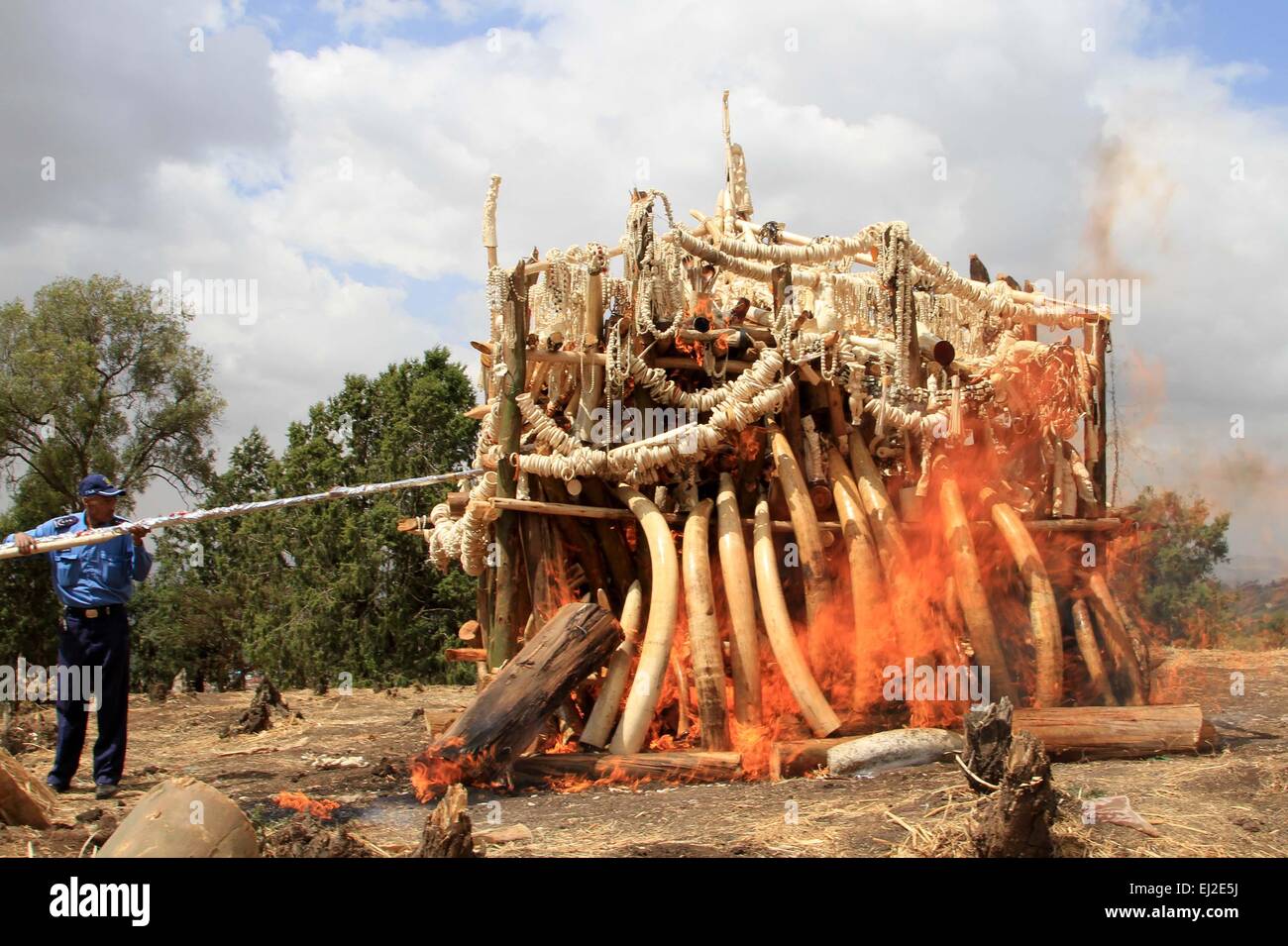 Addis Ababa. 20th Mar, 2015. Photo taken on March 20, 2015 shows the ...