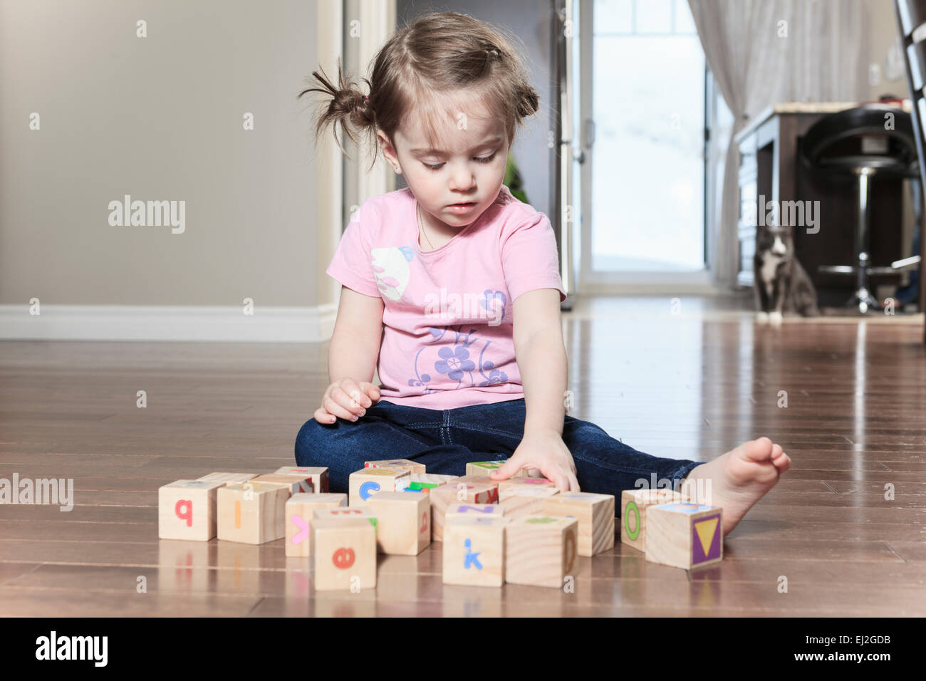 beautiful little girl playing with blocks on floor Stock Photo - Alamy