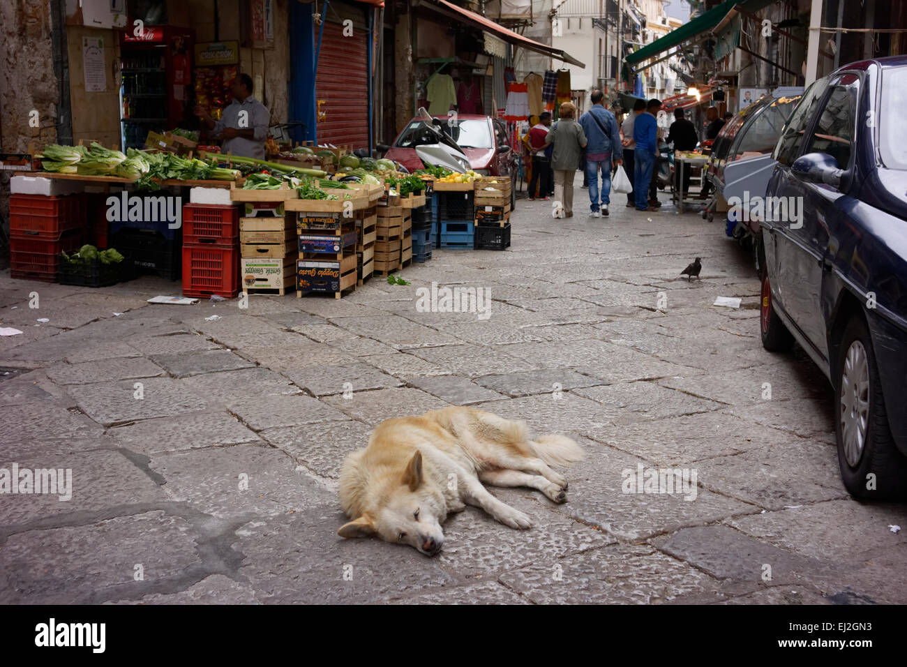 Palermo, Sicily. Capo market Stock Photo - Alamy