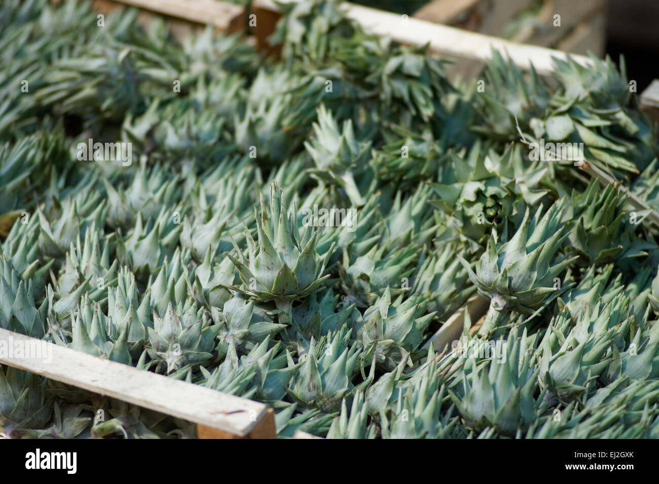 Ballaro market in Palermo, Sicily Stock Photo - Alamy