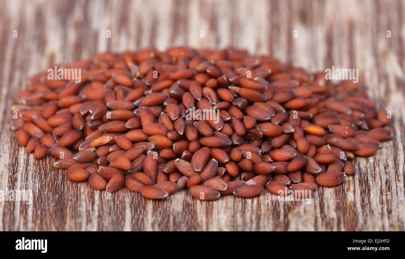 Heap whole flax seeds hi-res stock photography and images - Alamy