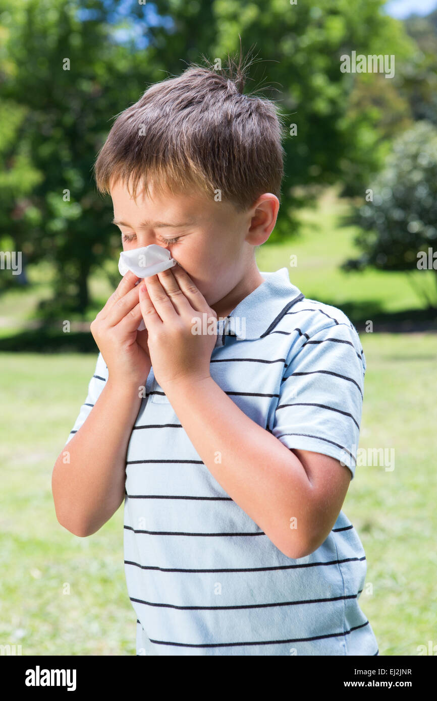 Little boy blowing his nose Stock Photo - Alamy