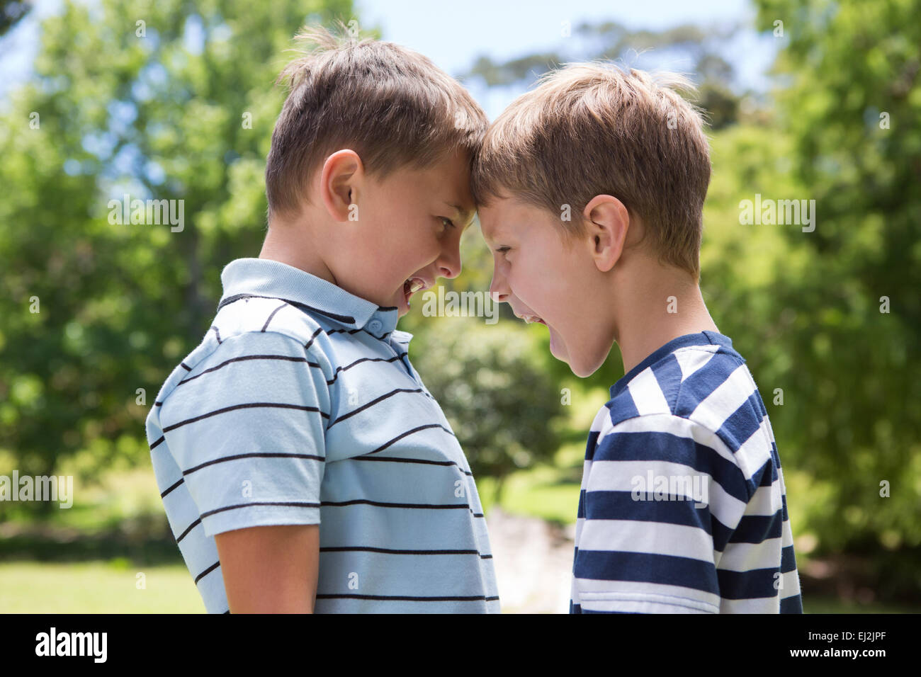 Little boys having a fight Stock Photo - Alamy