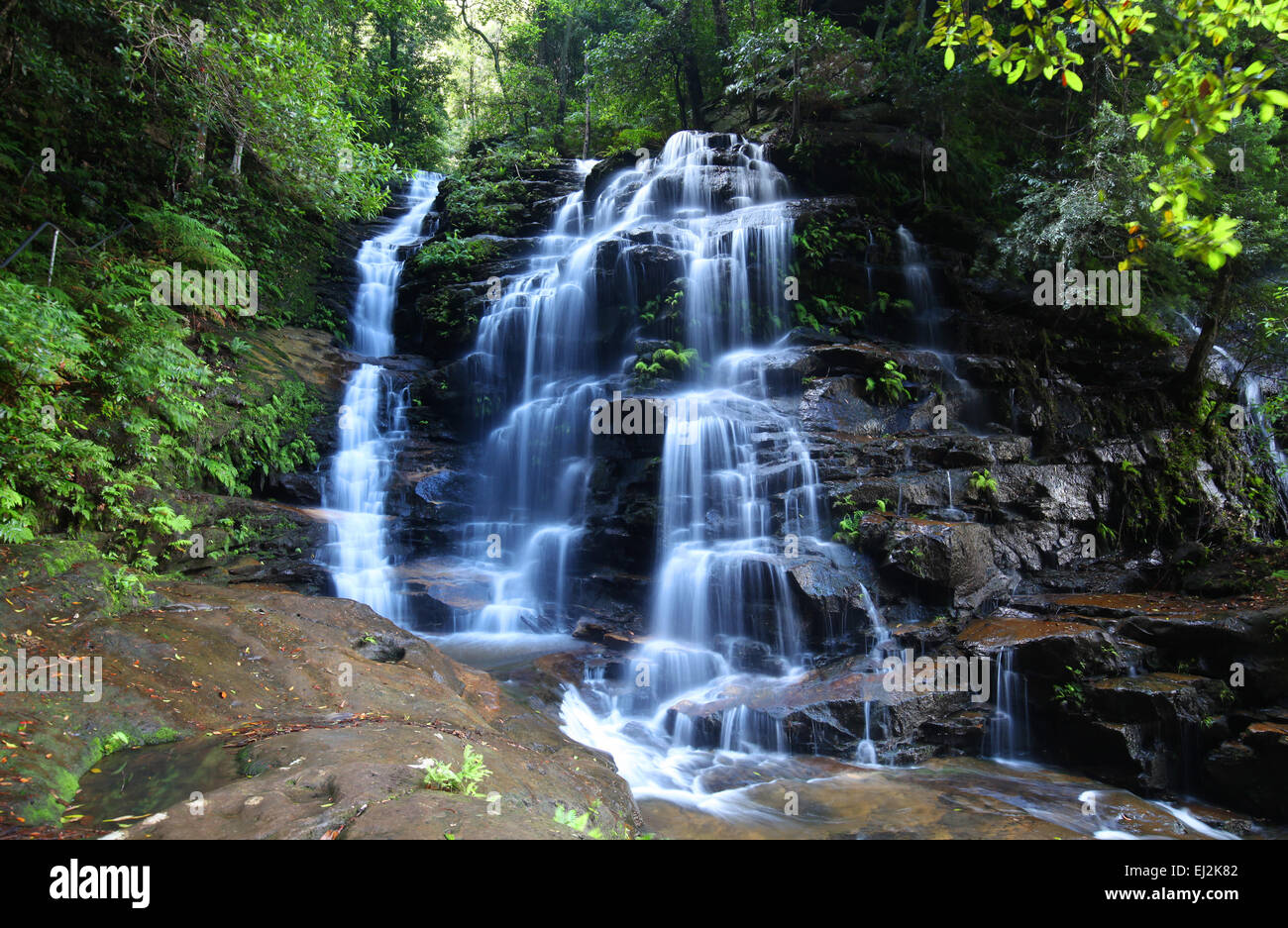 Nsw rainforest river creek hi-res stock photography and images - Alamy