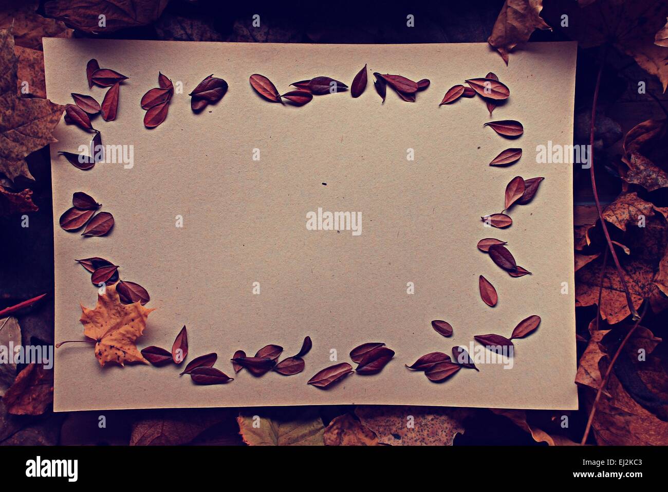 paper letter fallen leaves concept Stock Photo - Alamy