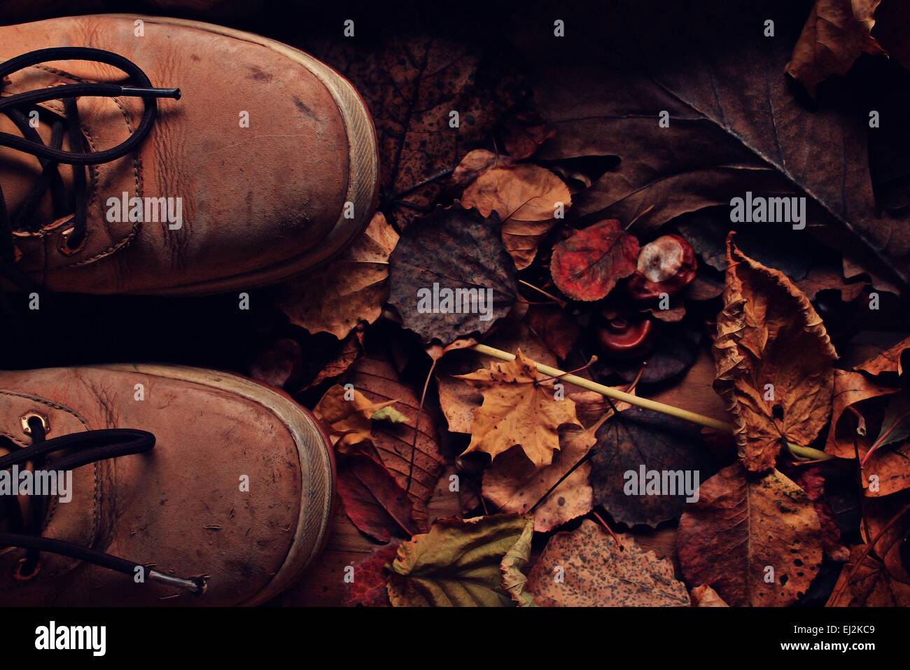 old broken leather shoes autumn leaves tour Stock Photo - Alamy