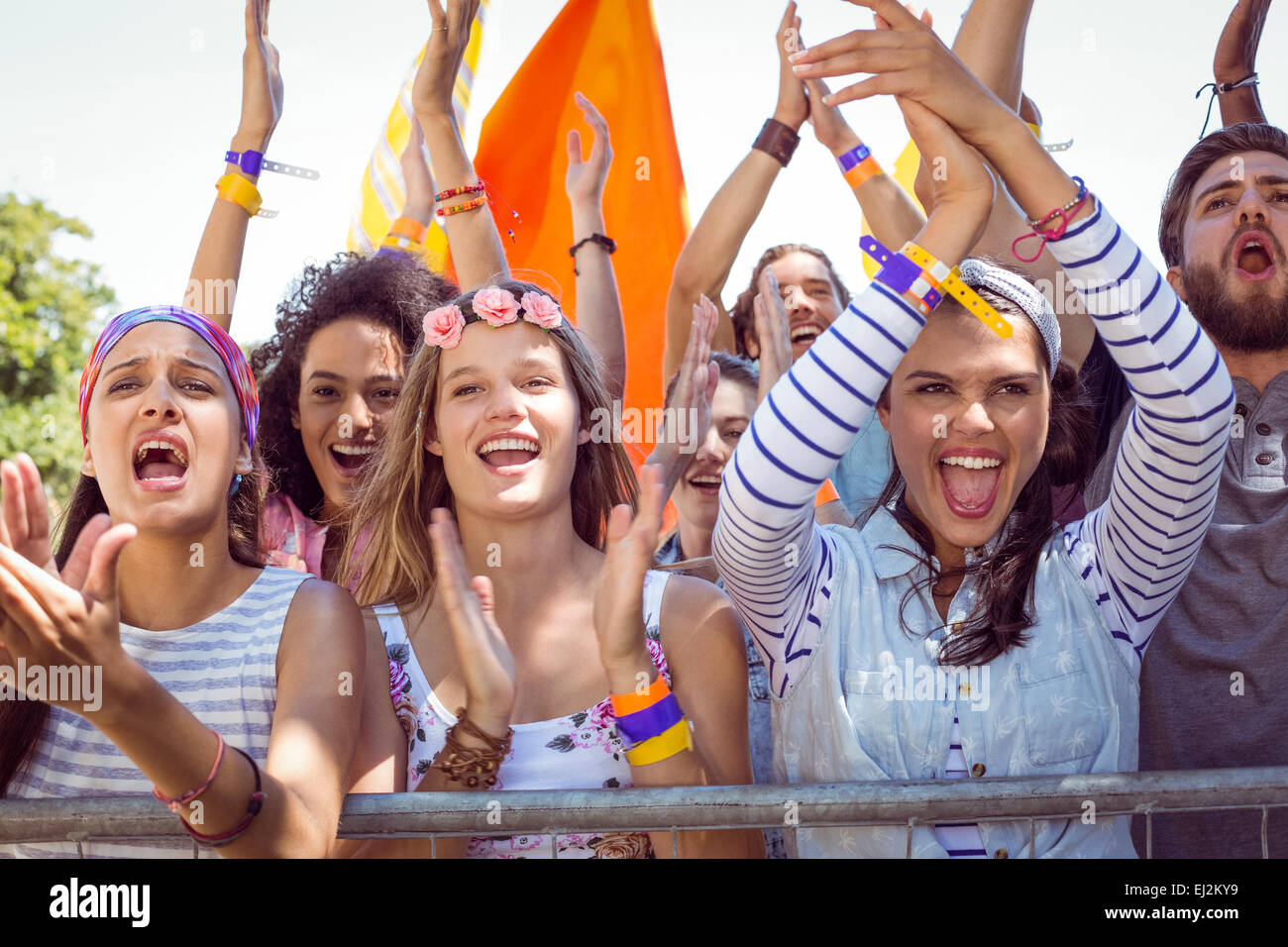 Excited music fans up the front Stock Photo - Alamy