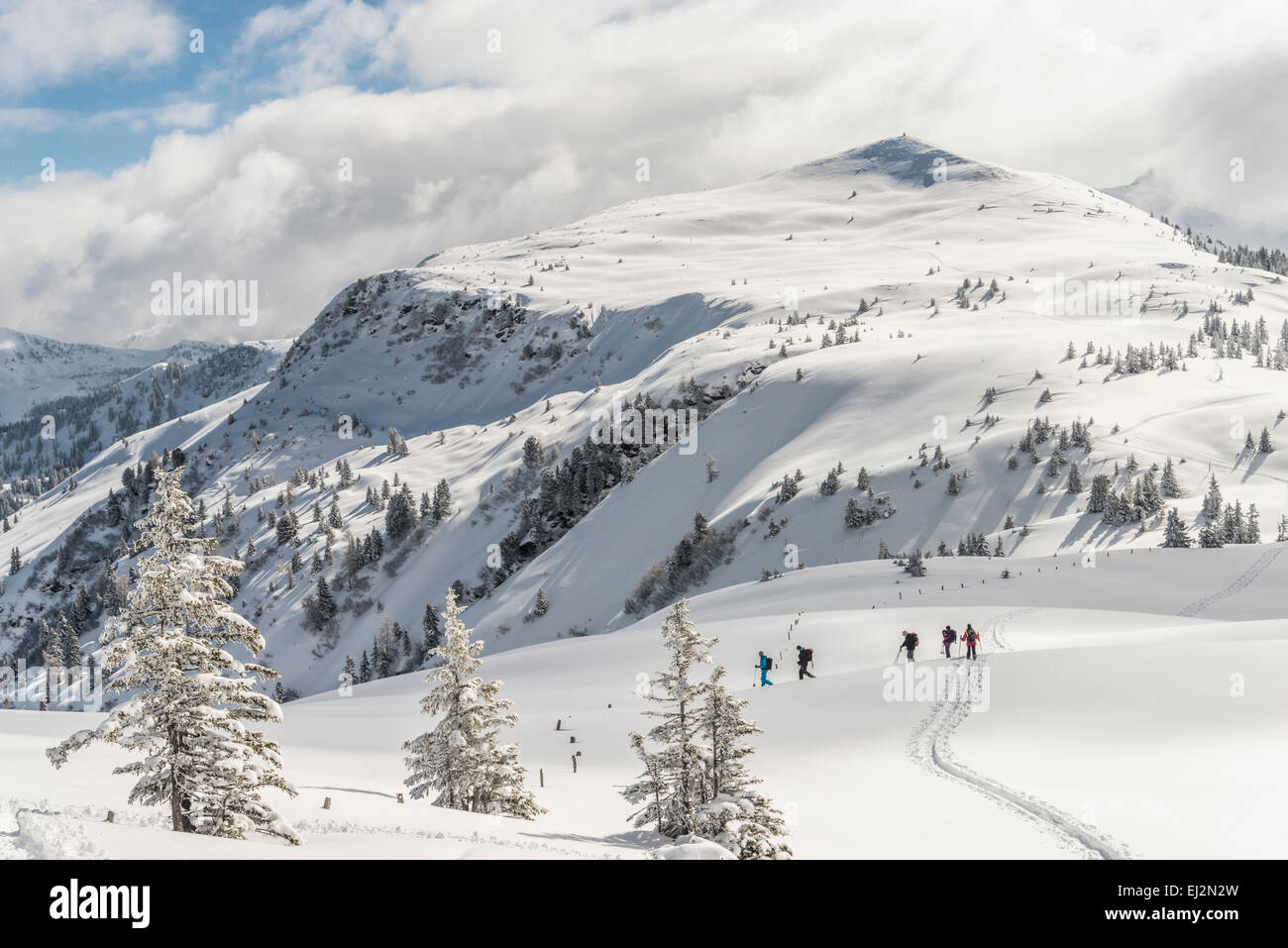 Winter snow scene with snow covered trees and a group of people snow ...