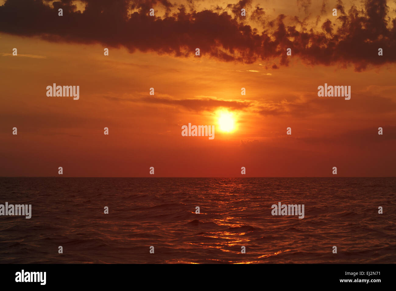 summer sunset on the bay Stock Photo - Alamy