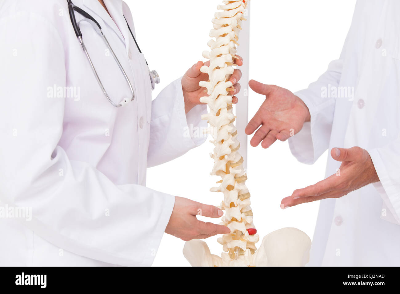 Doctors discussing spine model Stock Photo - Alamy