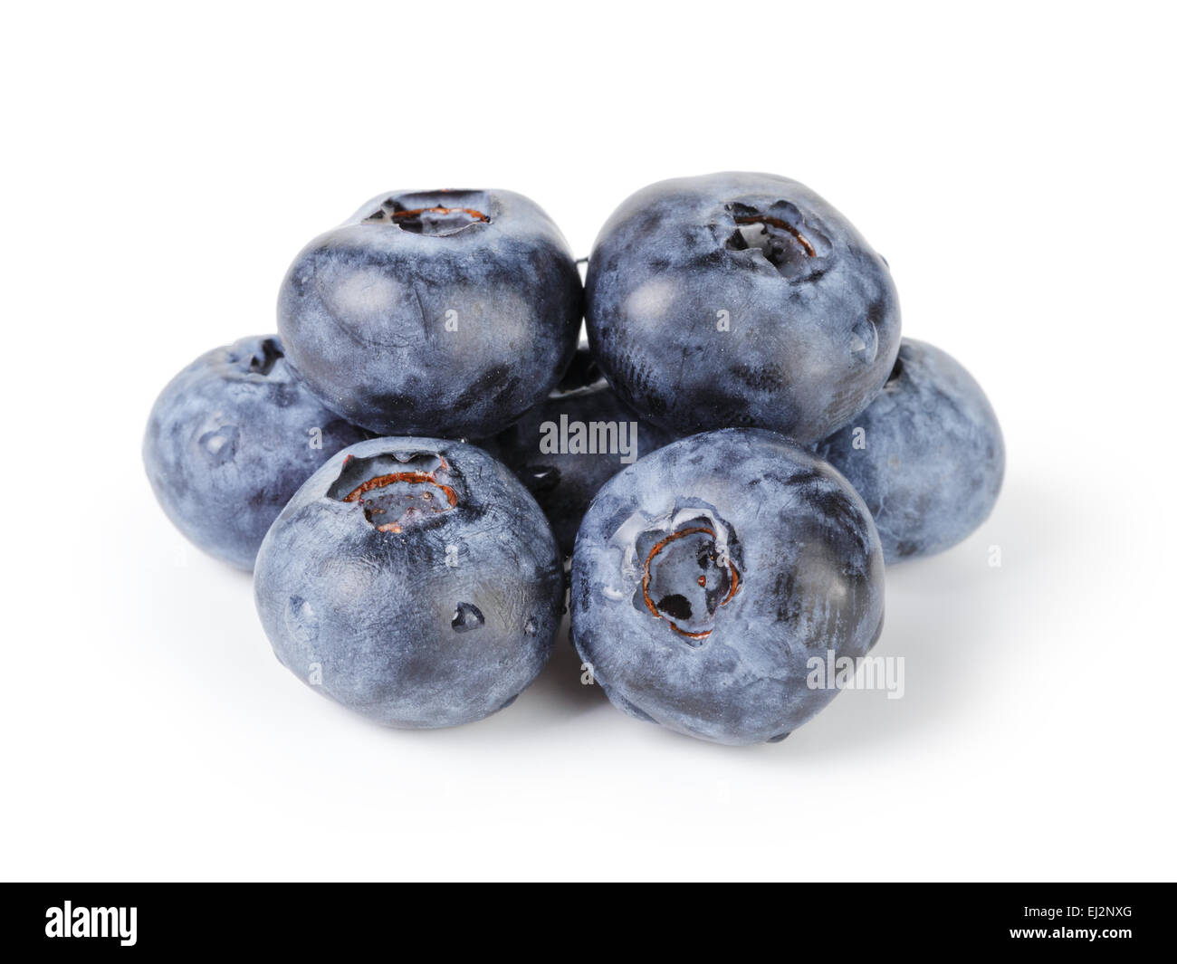 fresh wet blueberries isolated Stock Photo - Alamy