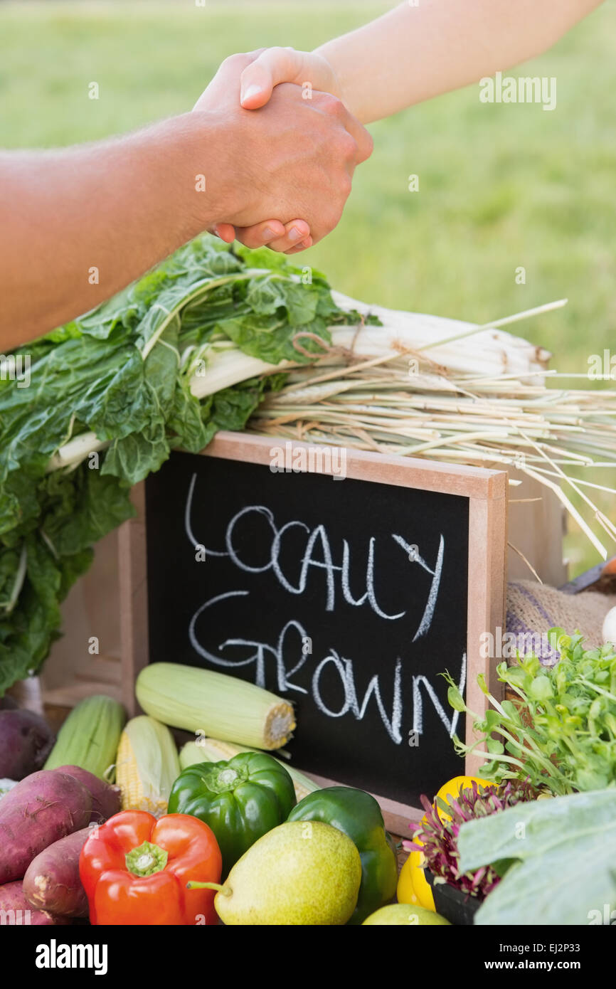 Farmer shaking hands at market Stock Photo - Alamy