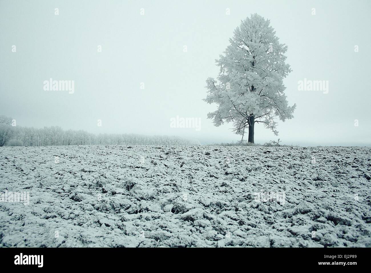 winter landscape nature without people Stock Photo - Alamy