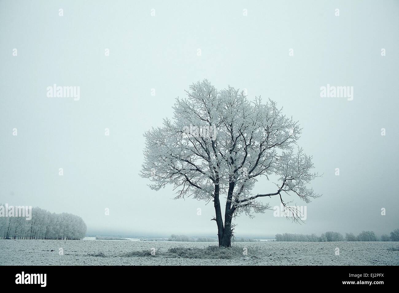 winter landscape nature without people Stock Photo - Alamy