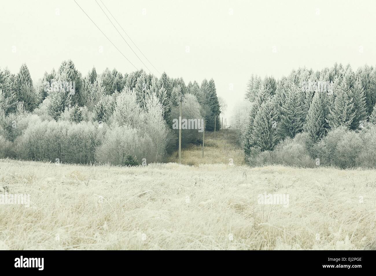 winter landscape nature without people Stock Photo - Alamy