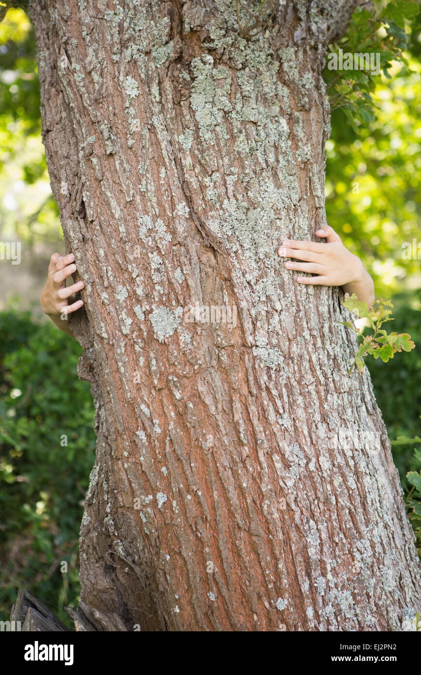 Woman hugging a tree Stock Photo - Alamy