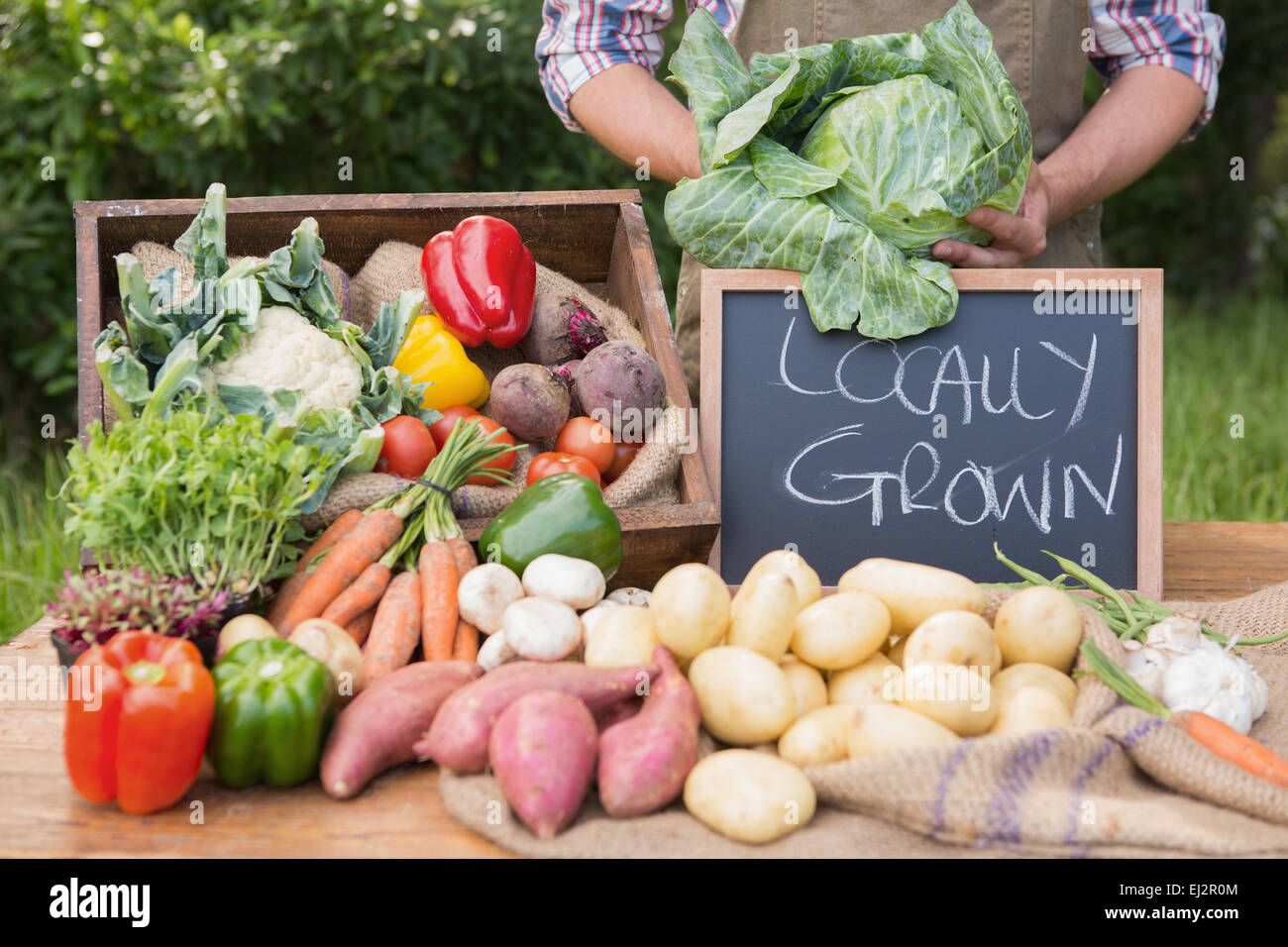 Farmer selling organic veg at market Stock Photo - Alamy