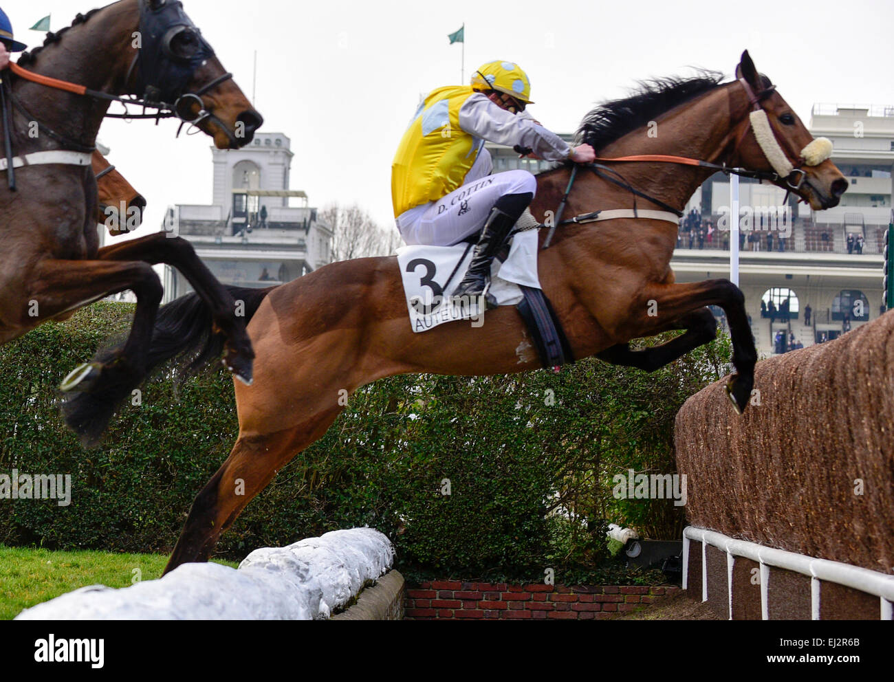 Auteuil racecourse hi-res stock photography and images - Alamy