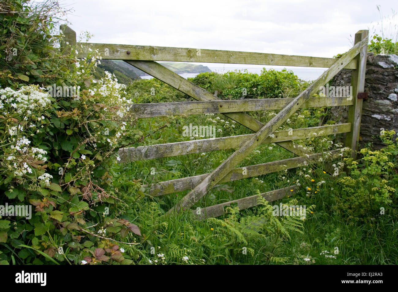Wooden traditional five bar gate hi-res stock photography and images ...