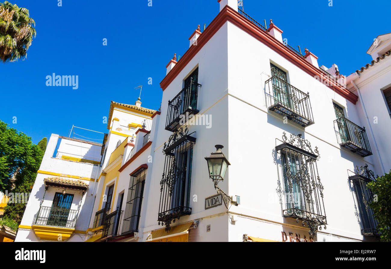 beautiful streets full of typical color of the Andalusian city of ...