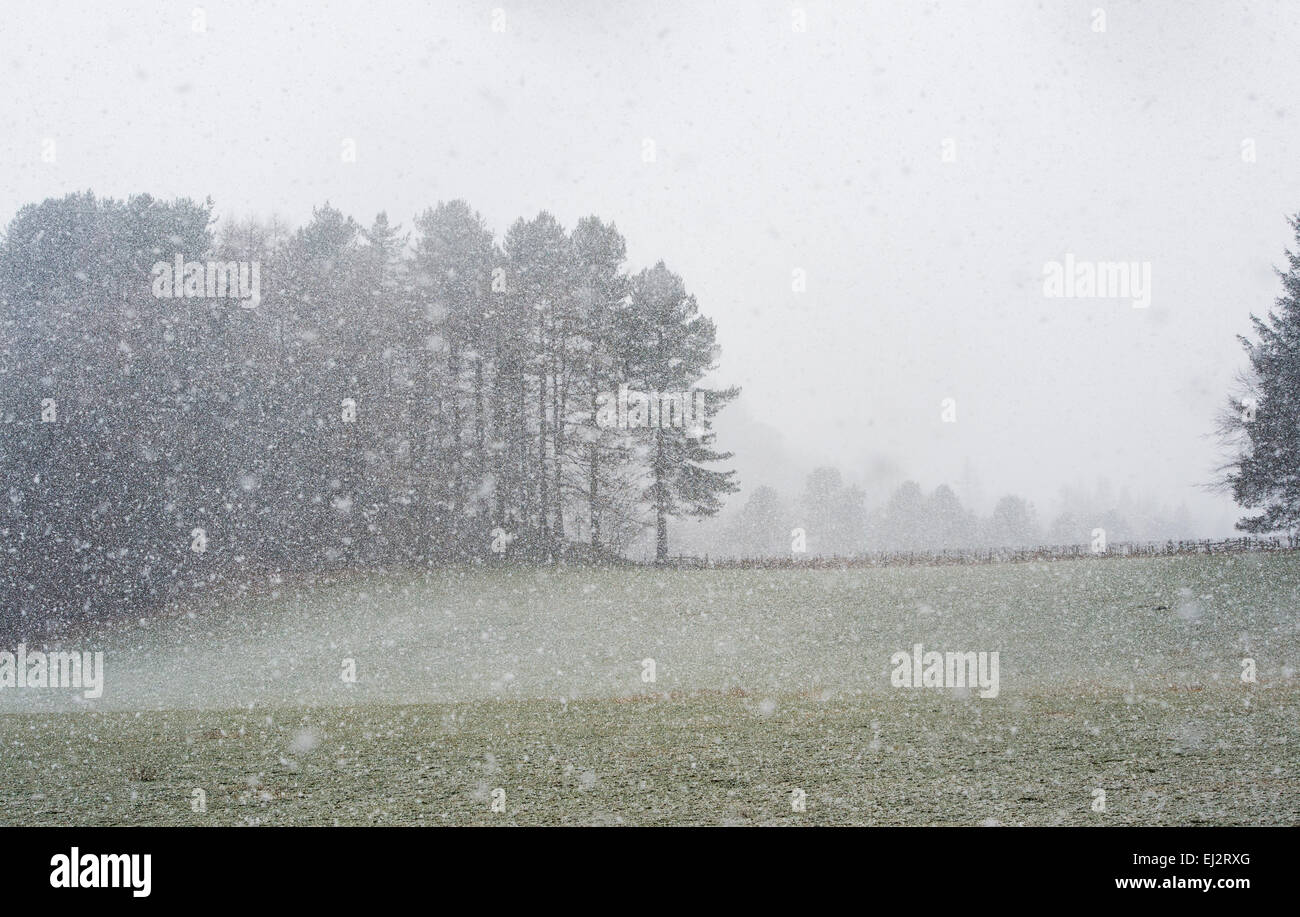Falling snow in the countryside hi-res stock photography and images - Alamy