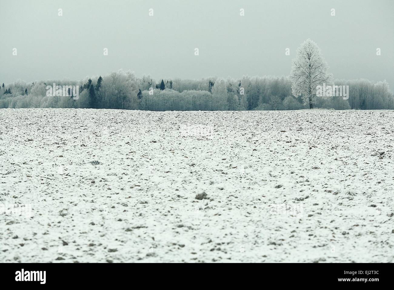 winter landscape nature without people Stock Photo - Alamy