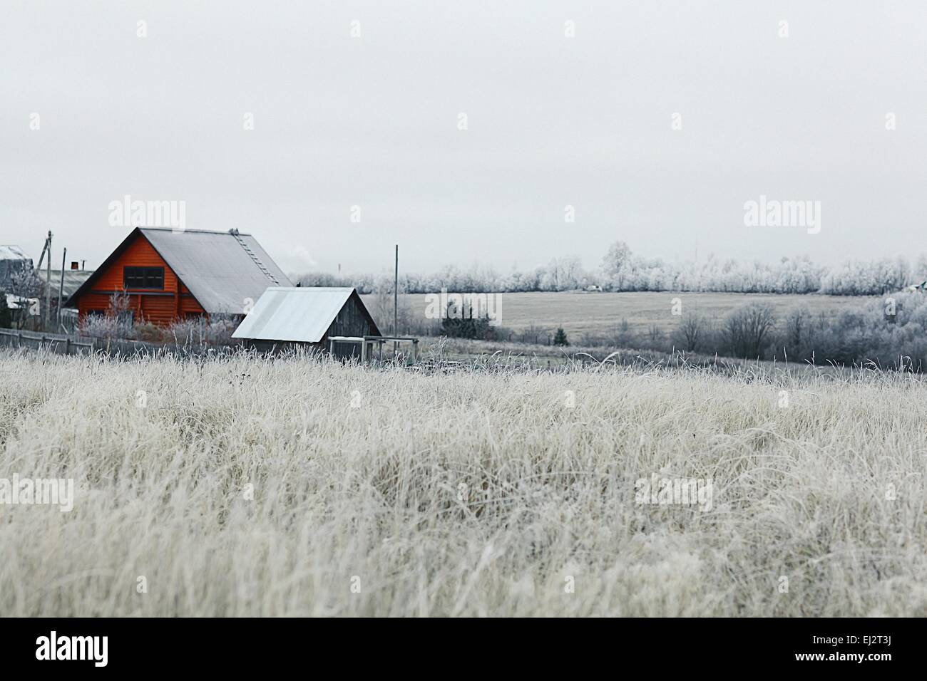 magical winter snow landscape trees snowfall Stock Photo - Alamy