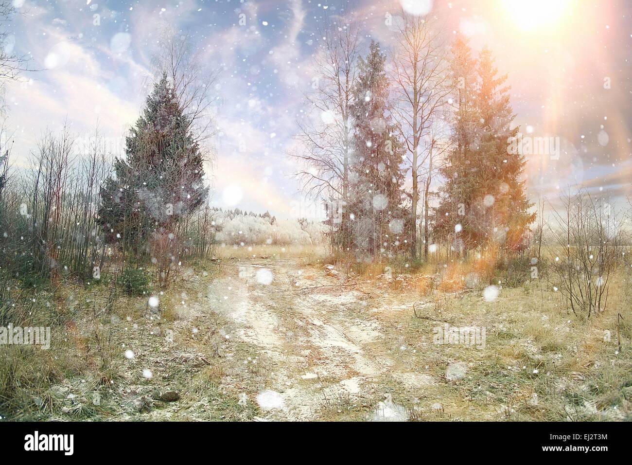 magical winter snow landscape trees snowfall Stock Photo - Alamy