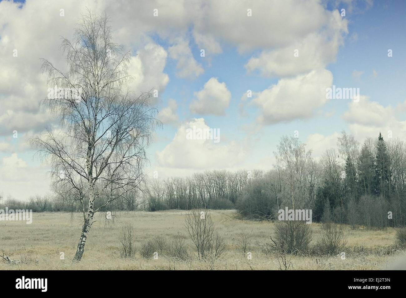 winter landscape nature without people Stock Photo - Alamy