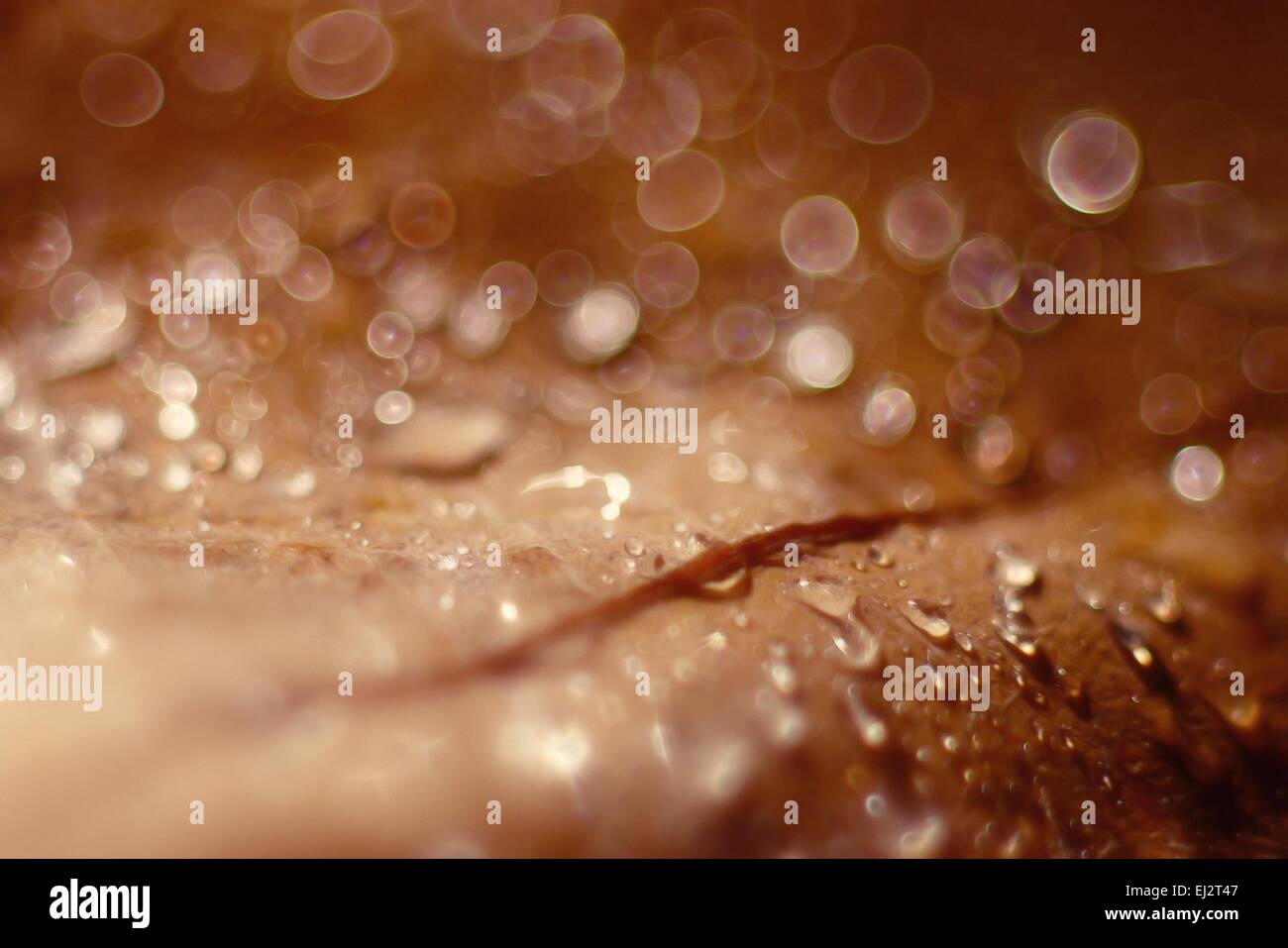 beige abstract texture bokeh blurred background Stock Photo - Alamy