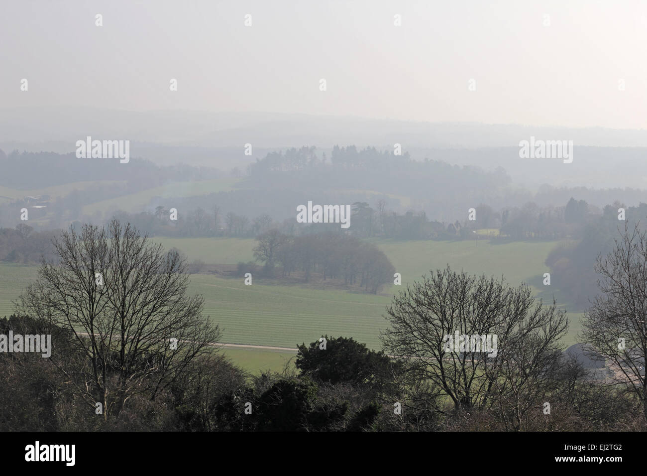 Newlands Corner, Surrey, England, UK. 20th March 2015. The First Day of ...