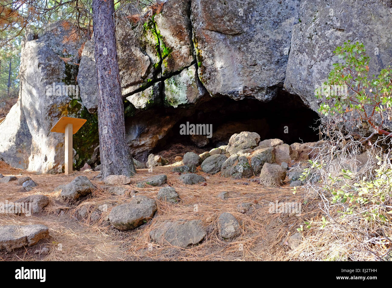 Neolithic Shelter