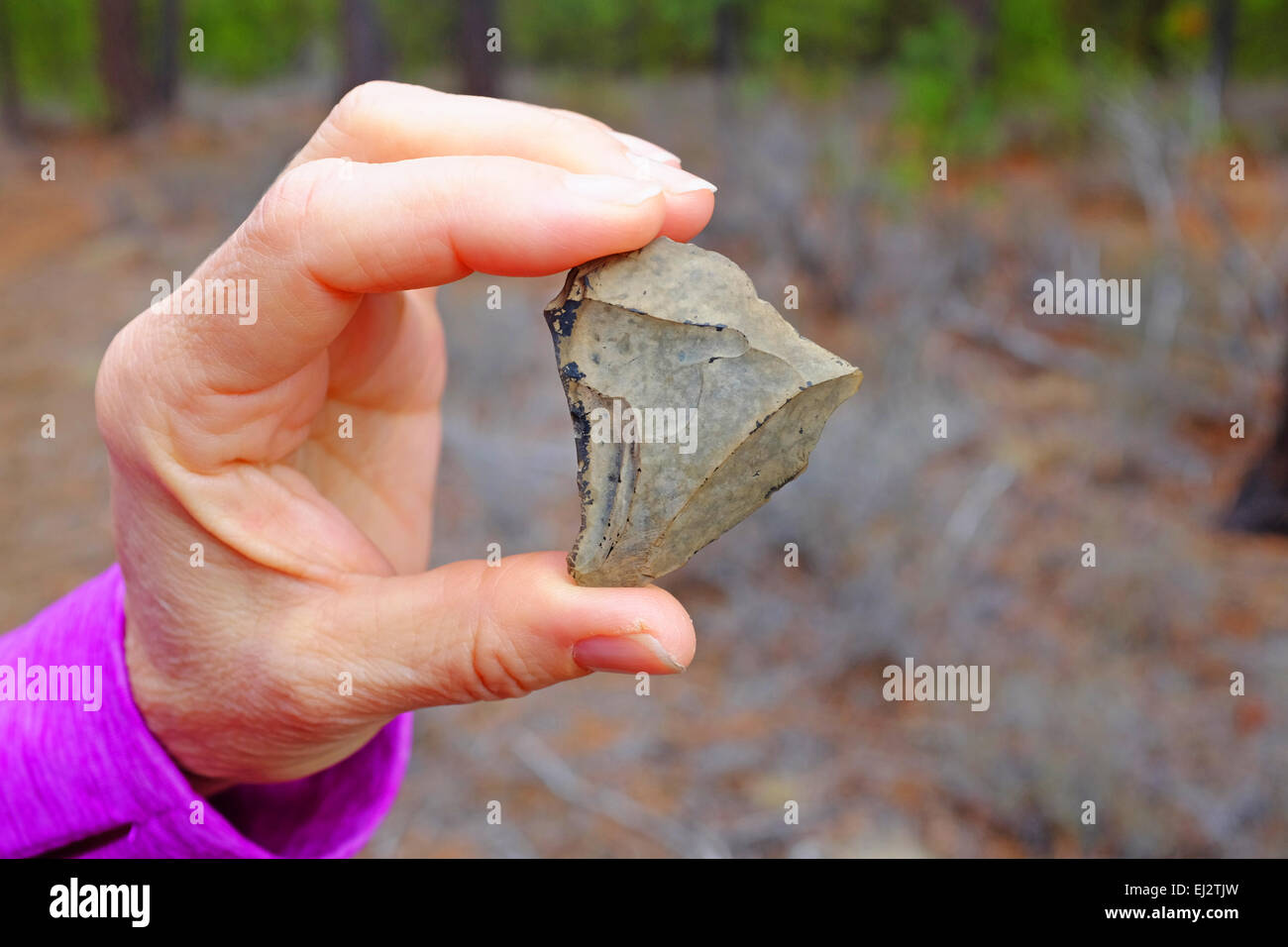 Neolithic tools hi-res stock photography and images - Alamy