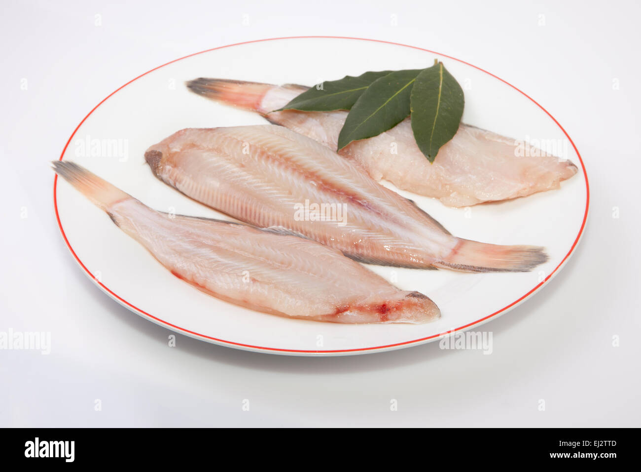 Raw sole fish ready to cook. Plate of three pieces decorated with a bay ...
