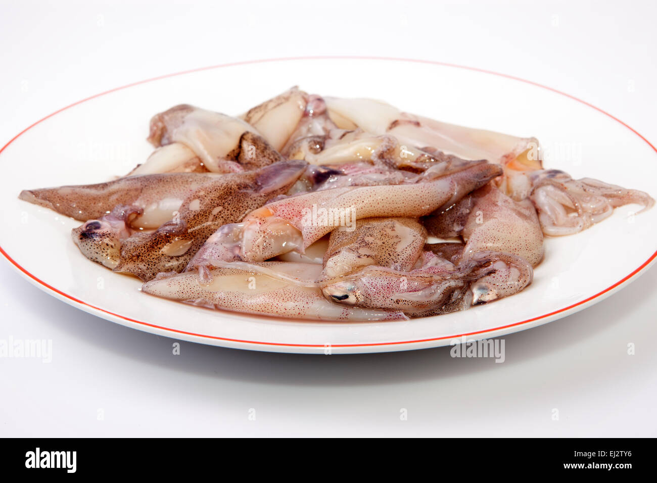 Small freshly squids. Group on plate isolated ove white background ...