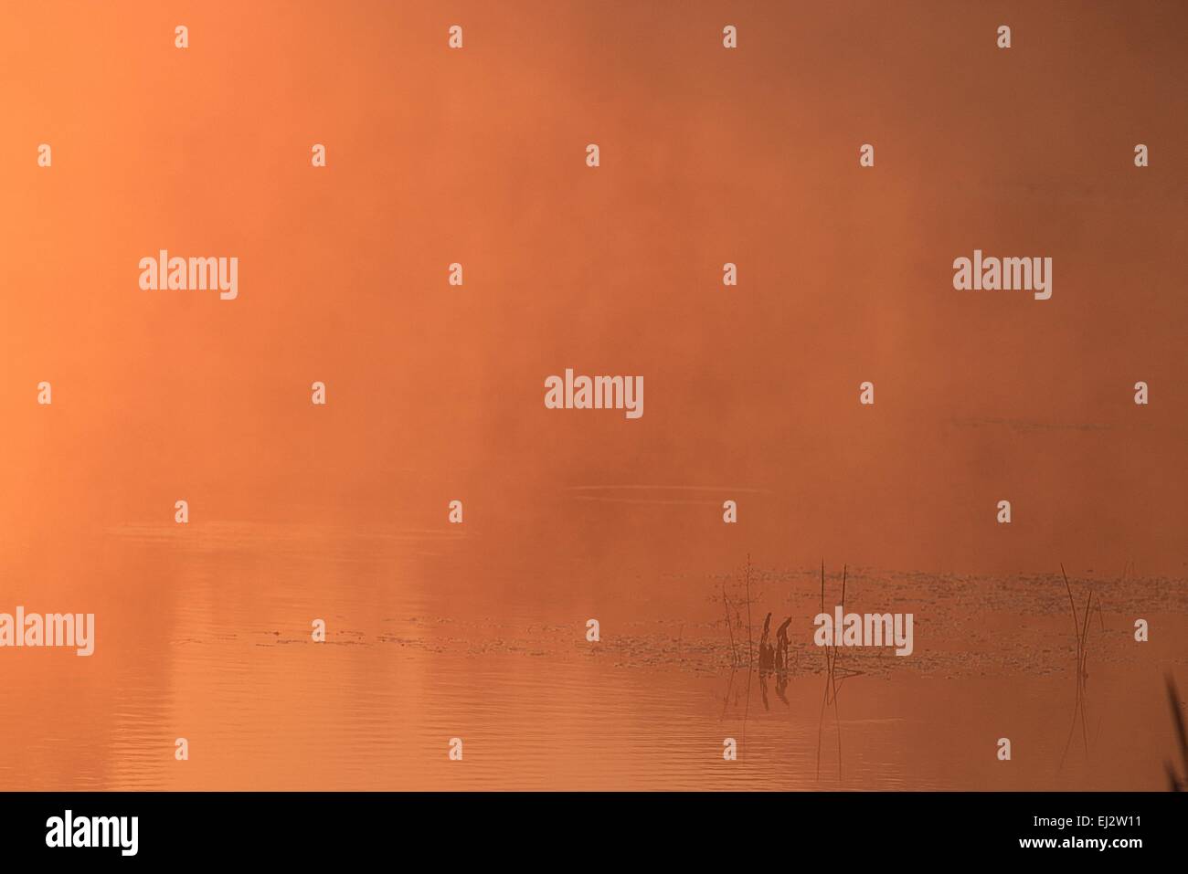 texture dawn mist Stock Photo - Alamy