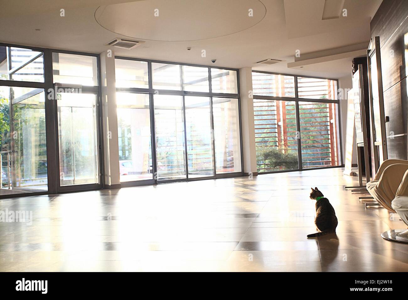 hotel reception morning window Stock Photo - Alamy
